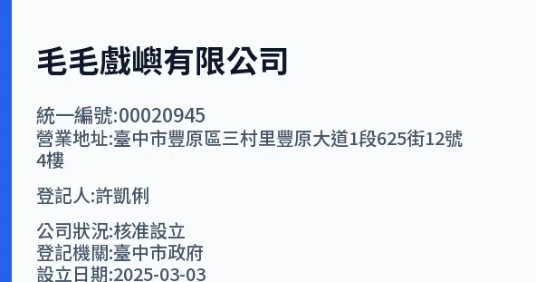 毛毛戲嶼有限公司的照片-統編 00020945(臺中市) 公司登記資料與營業項目詳細圖表