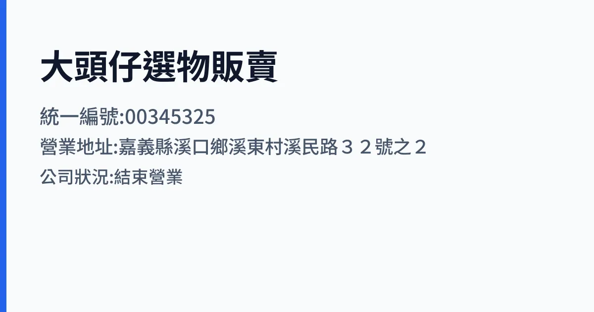 大頭仔選物販賣 - 統編 00345325(嘉義縣) 公司登記資料與營業項目詳細圖表