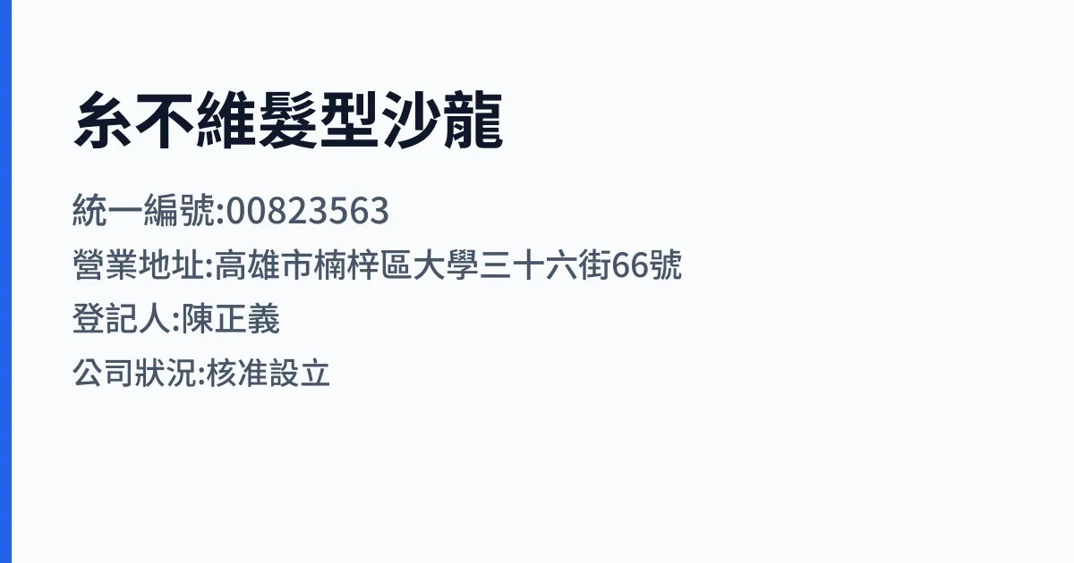 糸不維髮型沙龍 - 統編 00823563(高雄市) 公司登記資料與營業項目詳細圖表