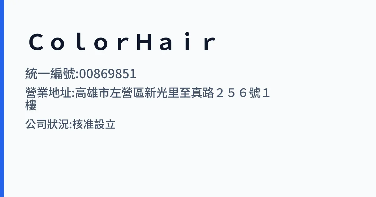 ColorHair - 統編 00869851(高雄市) 公司登記資料與營業項目詳細圖表