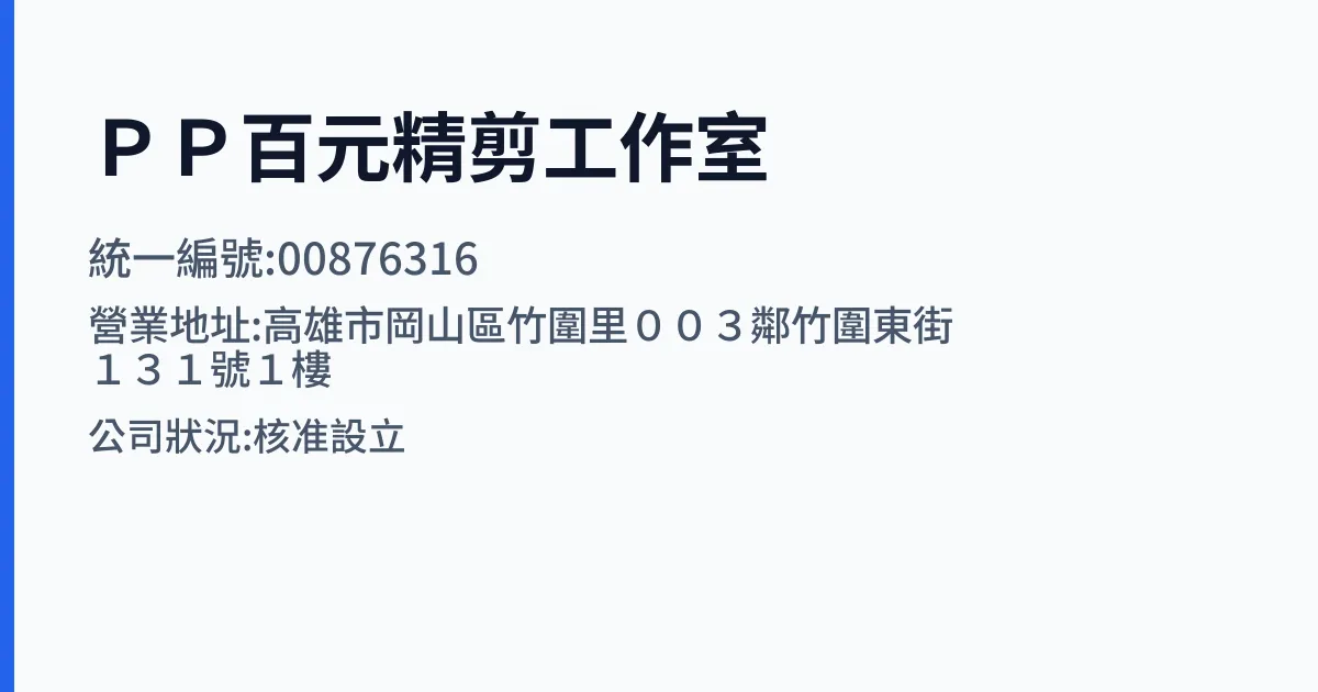 ＰＰ百元精剪工作室 - 統編 00876316（高雄市） 公司登記資料與營業項目詳細圖表