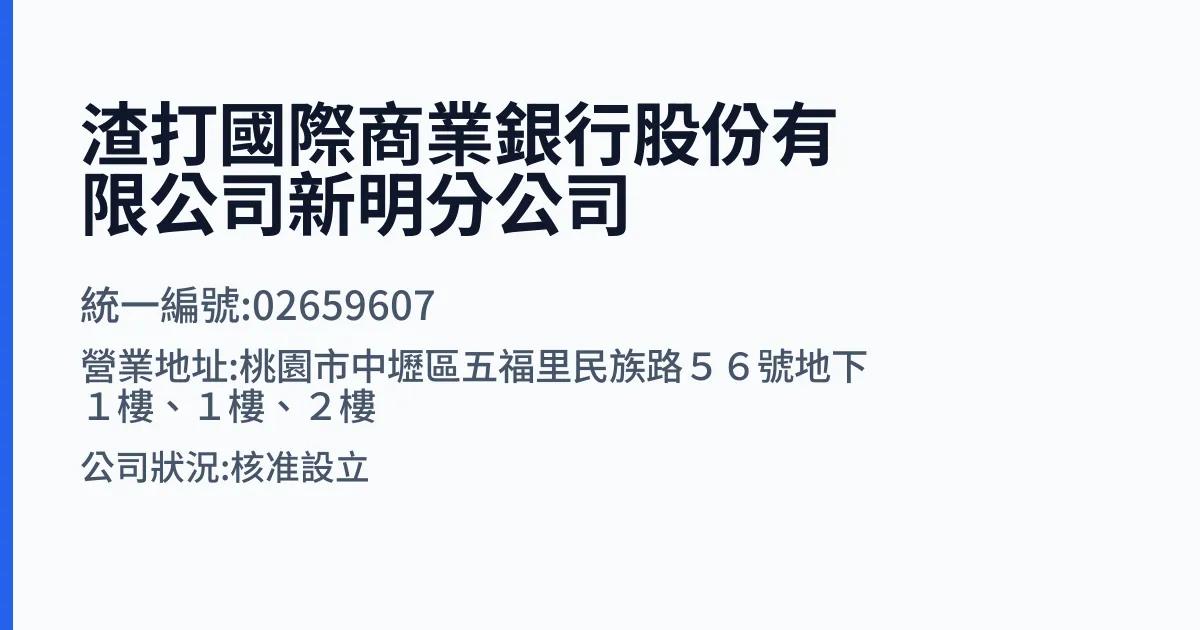 渣打國際商業銀行股份有限公司新明分公司 - 統編 02659607(桃園市) 公司登記資料與營業項目詳細圖表