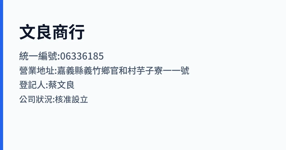 文良商行 - 統編 06336185(嘉義縣) 公司登記資料與營業項目詳細圖表
