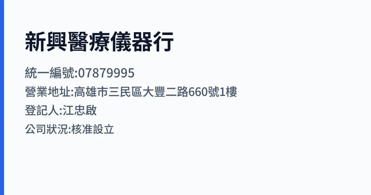新興醫療儀器行 - 統編 07879995（高雄市） 公司登記資料與營業項目詳細圖表