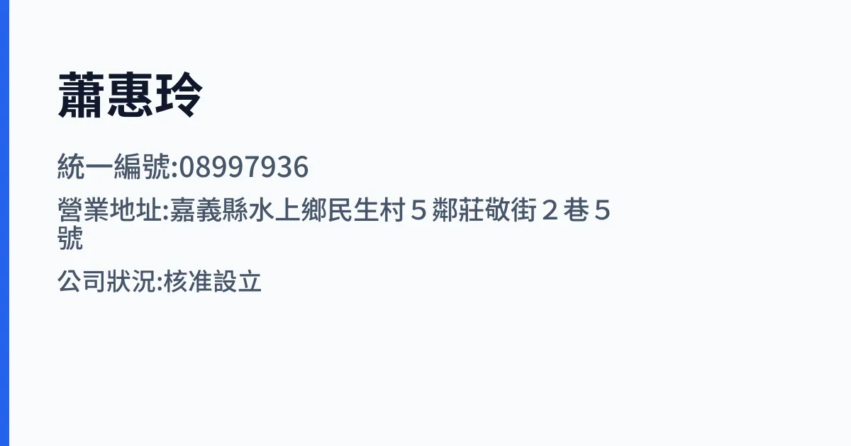 蕭惠玲 - 統編 08997936(嘉義縣) 公司登記資料與營業項目詳細圖表