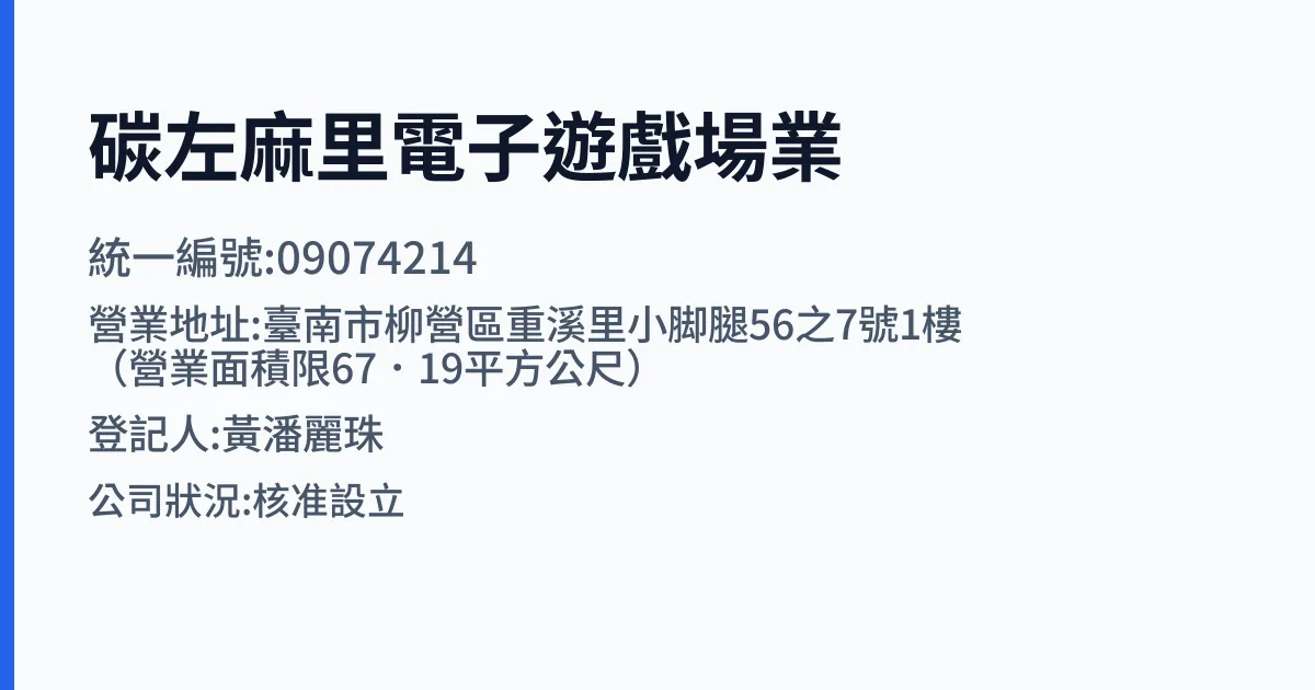 碳左麻里電子遊戲場業 - 統編 09074214（臺南市） 公司登記資料與營業項目詳細圖表