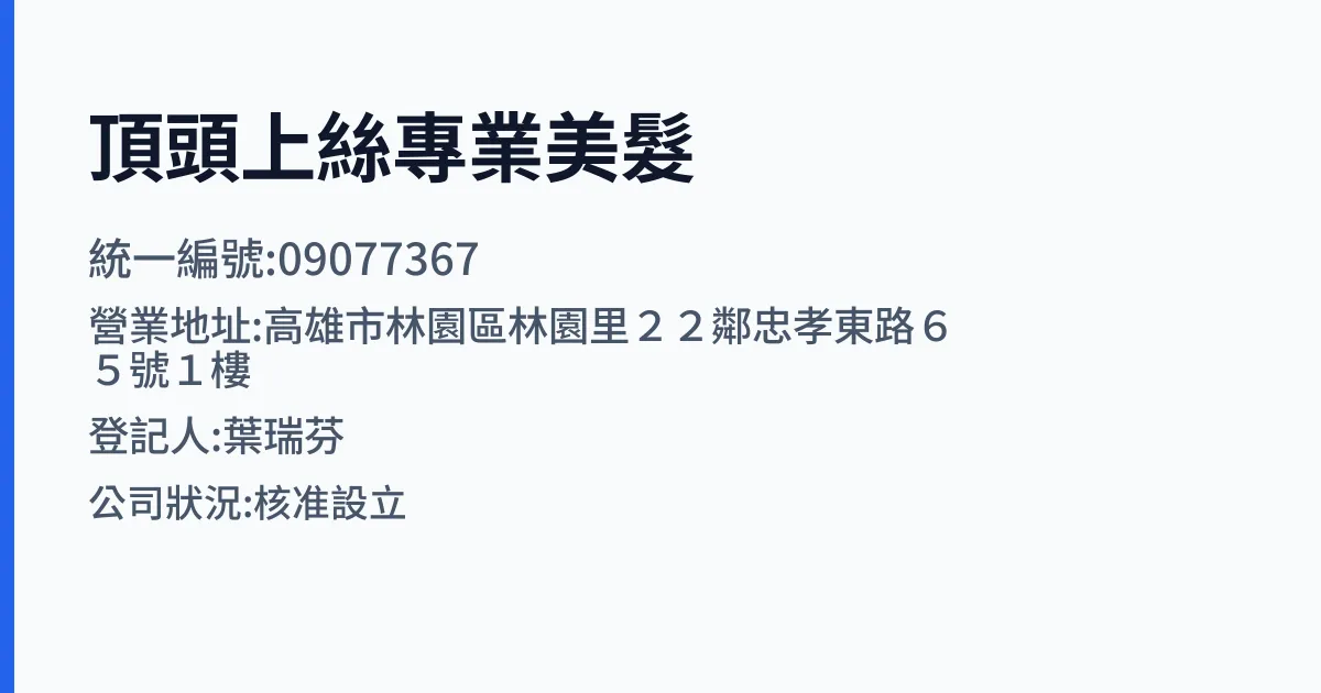 頂頭上絲專業美髮 - 統編 09077367(高雄市) 公司登記資料與營業項目詳細圖表