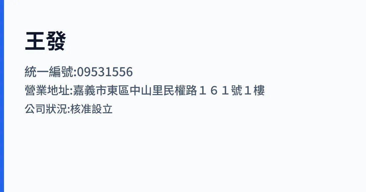 王發 - 統編 09531556(嘉義市) 公司登記資料與營業項目詳細圖表
