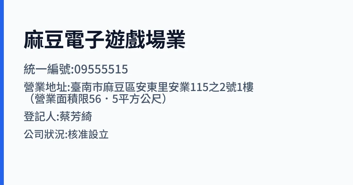 麻豆電子遊戲場業 - 統編 09555515(臺南市) 公司登記資料與營業項目詳細圖表