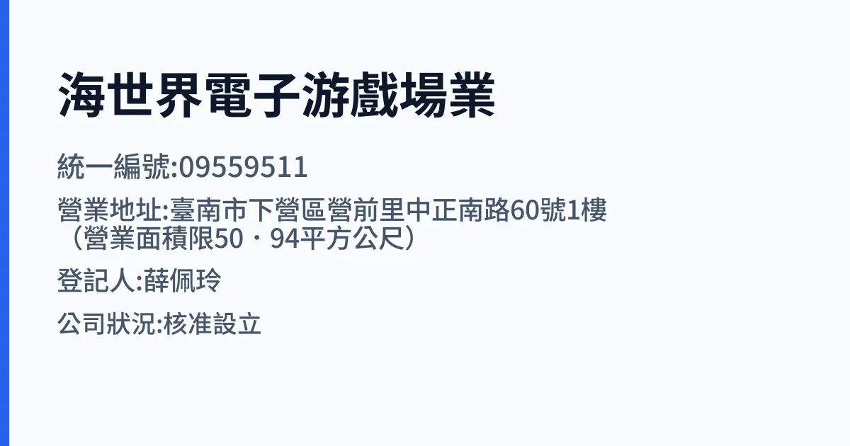 海世界電子游戲場業 - 統編 09559511(臺南市) 公司登記資料與營業項目詳細圖表