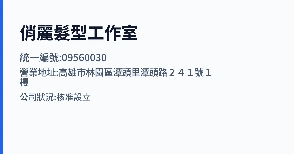 俏麗髮型工作室 - 統編 09560030(高雄市) 公司登記資料與營業項目詳細圖表