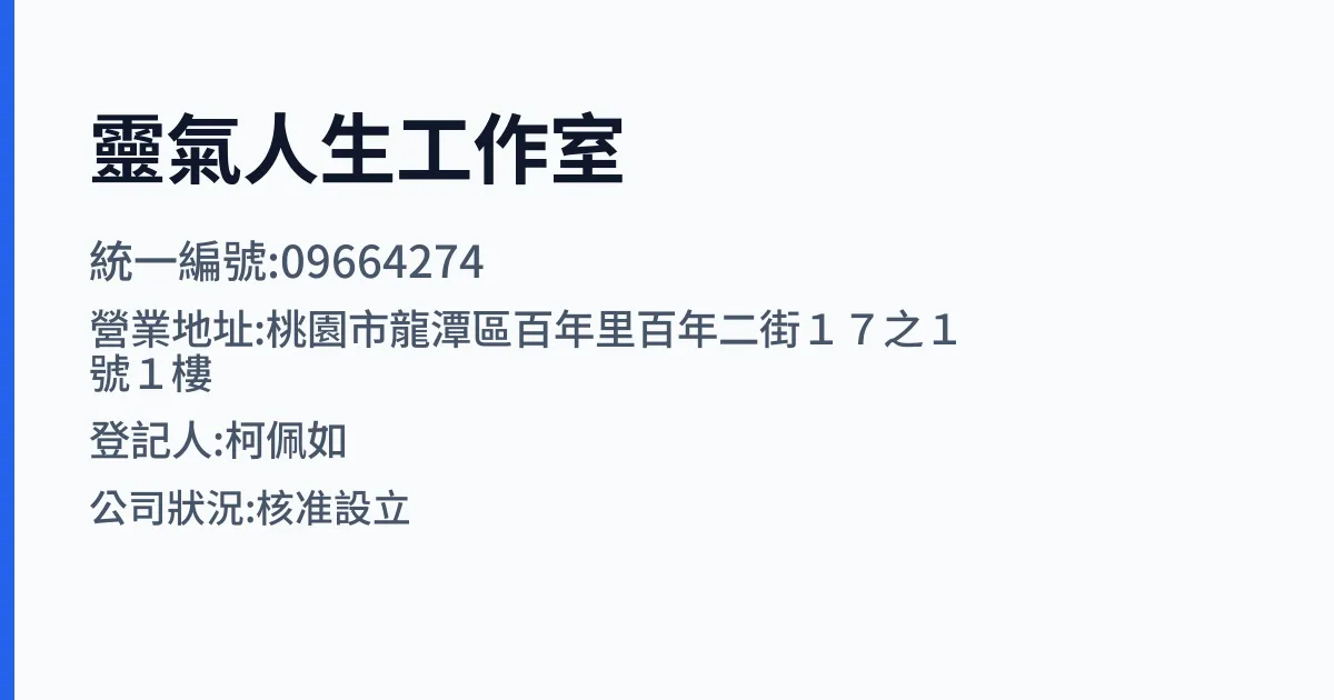 靈氣人生工作室 - 統編 09664274(桃園市) 公司登記資料與營業項目詳細圖表