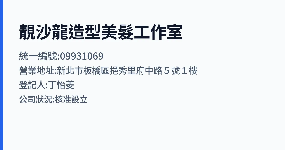 靚沙龍造型美髮工作室 - 統編 09931069(新北市) 公司登記資料與營業項目詳細圖表