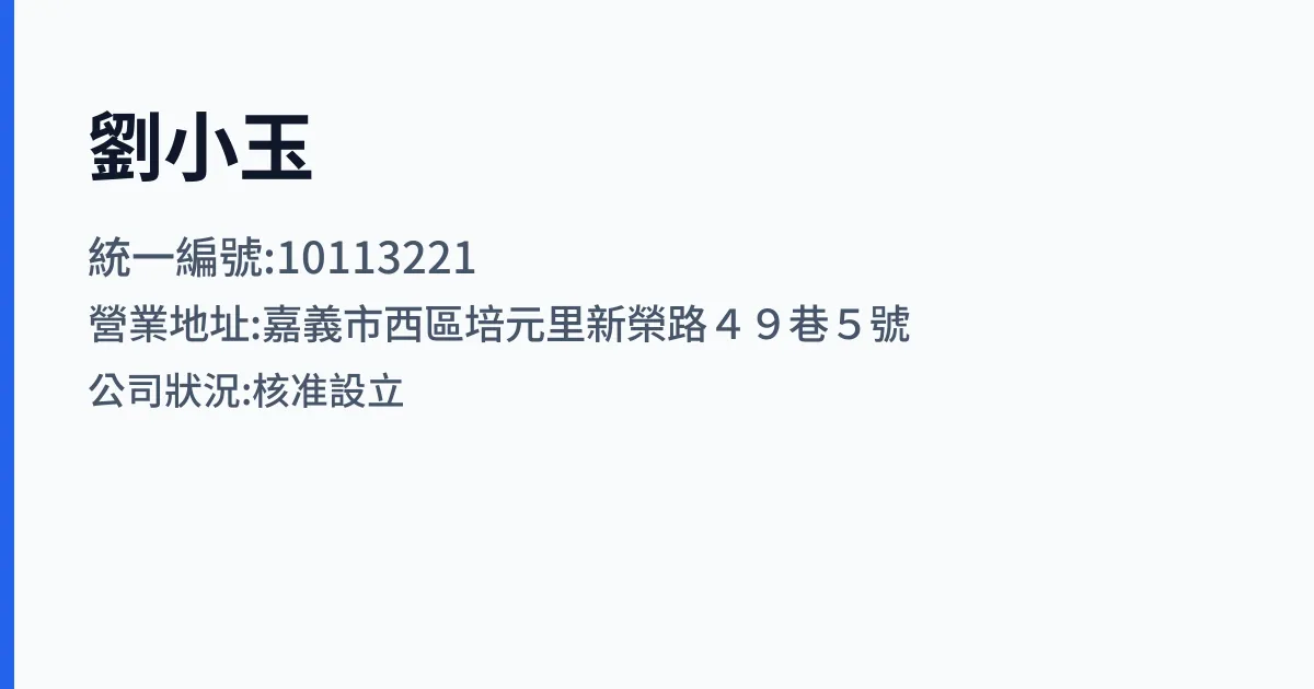 劉小玉 - 統編 10113221(嘉義市) 公司登記資料與營業項目詳細圖表