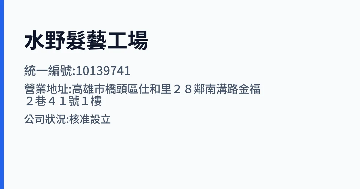 水野髮藝工場 - 統編 10139741(高雄市) 公司登記資料與營業項目詳細圖表