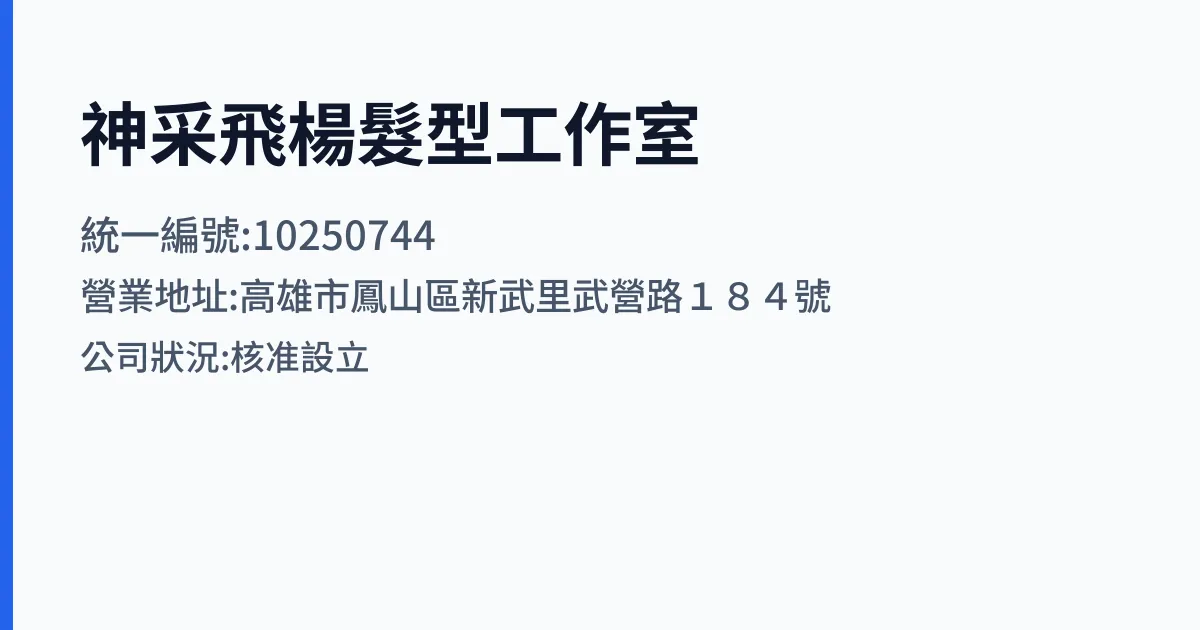 神采飛楊髮型工作室 - 統編 10250744(高雄市) 公司登記資料與營業項目詳細圖表