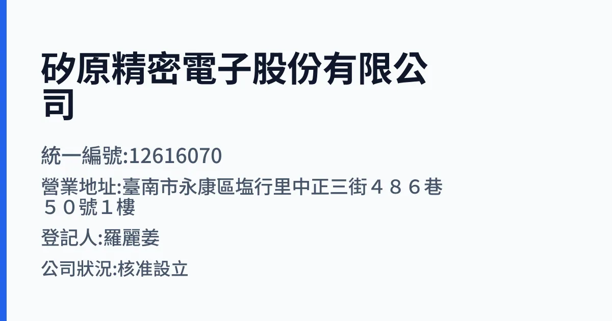 矽原精密電子股份有限公司 - 統編 12616070(臺南市) 公司登記資料與營業項目詳細圖表
