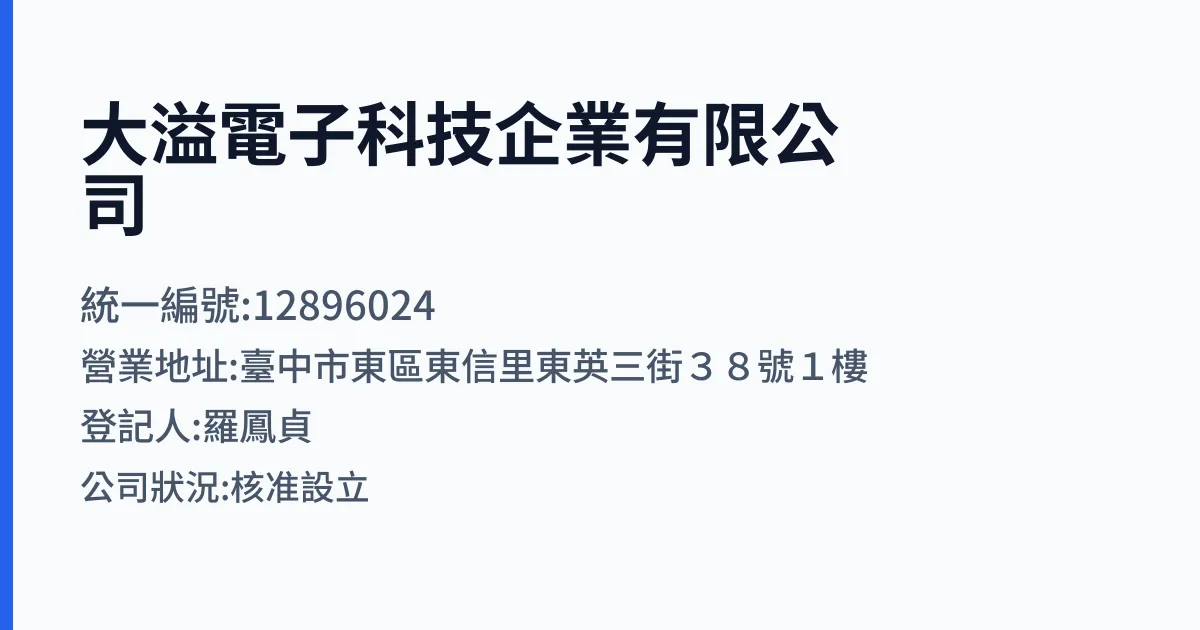 大溢電子科技企業有限公司 - 統編 12896024(臺中市) 公司登記資料與營業項目詳細圖表