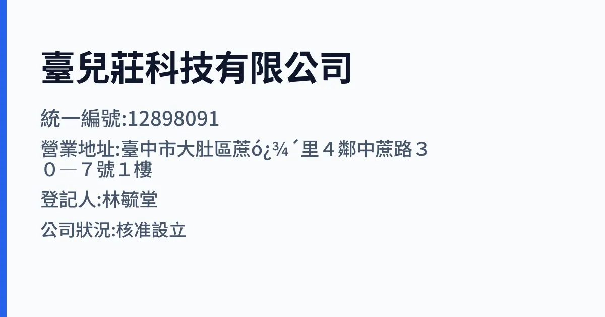 臺兒莊科技有限公司 - 統編 12898091(臺中市) 公司登記資料與營業項目詳細圖表
