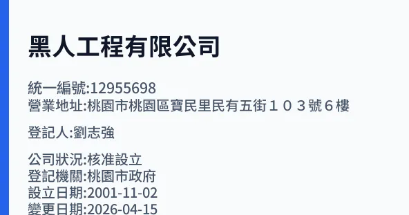 黑人工程有限公司的照片-統編 12955698(桃園市) 公司登記資料與營業項目詳細圖表