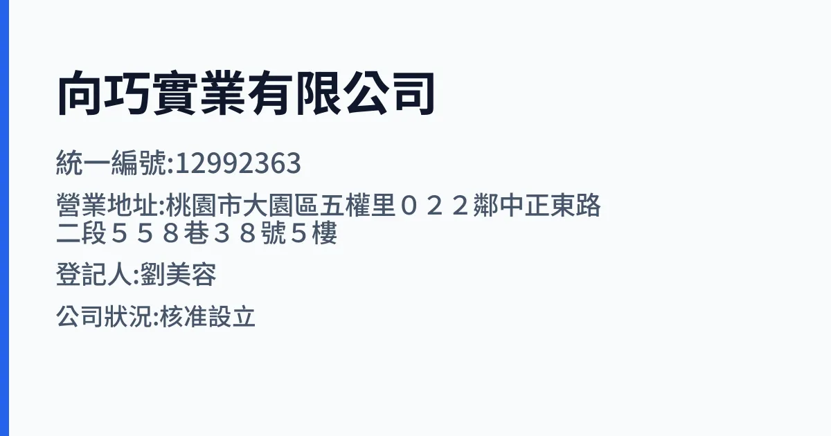 向巧實業有限公司 - 統編 12992363(桃園市) 公司登記資料與營業項目詳細圖表
