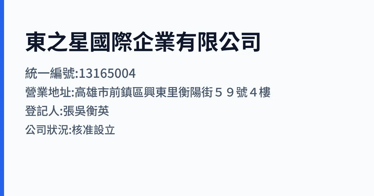東之星國際企業有限公司 - 統編 13165004(高雄市) 公司登記資料與營業項目詳細圖表
