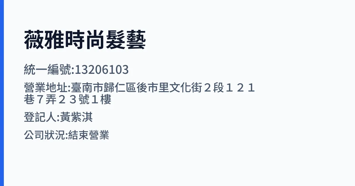 薇雅時尚髮藝 - 統編 13206103(臺南市) 公司登記資料與營業項目詳細圖表