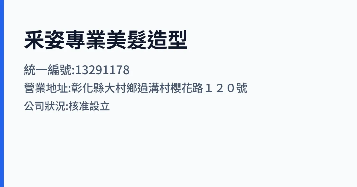 釆姿專業美髮造型 - 統編 13291178(彰化縣) 公司登記資料與營業項目詳細圖表