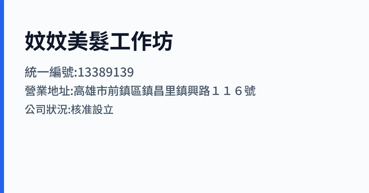 妏妏美髮工作坊 - 統編 13389139(高雄市) 公司登記資料與營業項目詳細圖表