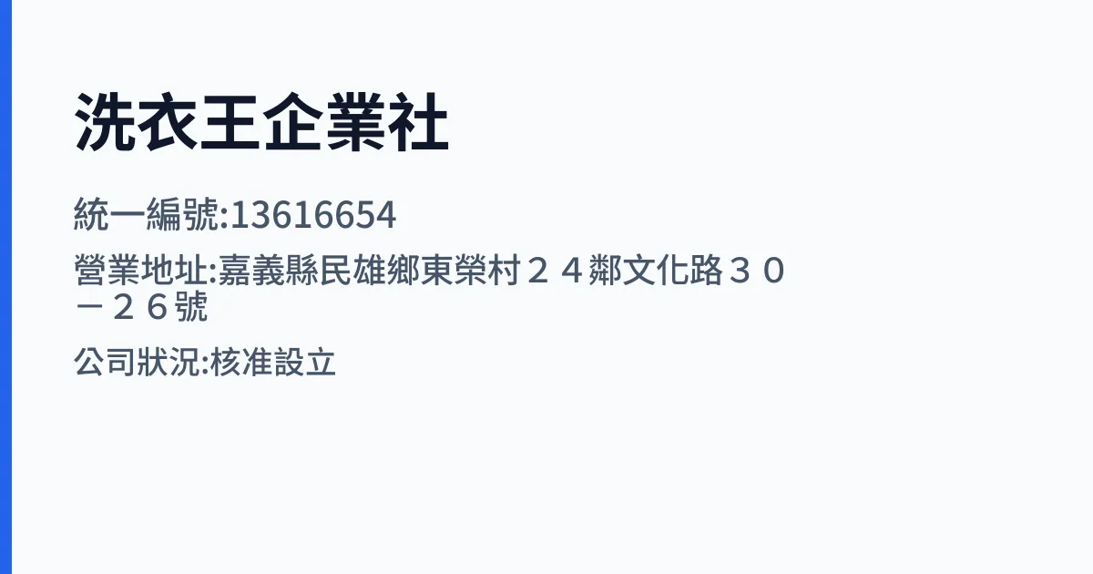洗衣王企業社 - 統編 13616654(嘉義縣) 公司登記資料與營業項目詳細圖表