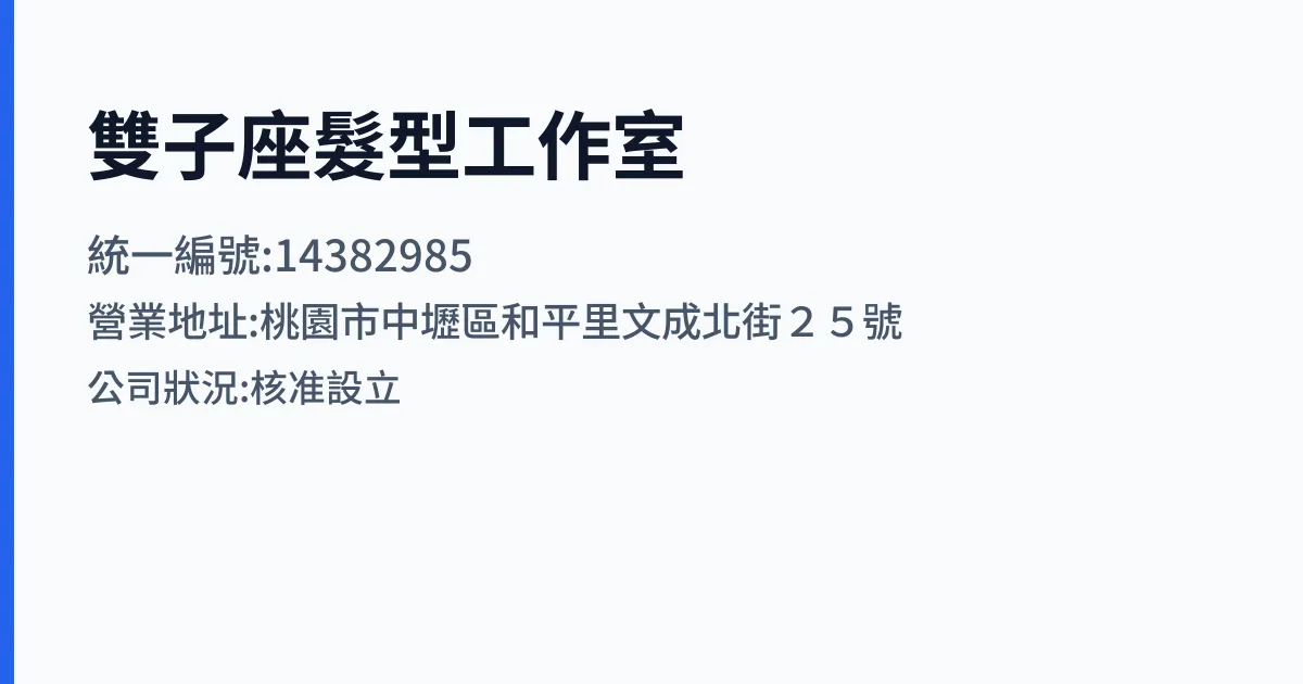 雙子座髮型工作室 - 統編 14382985(桃園市) 公司登記資料與營業項目詳細圖表