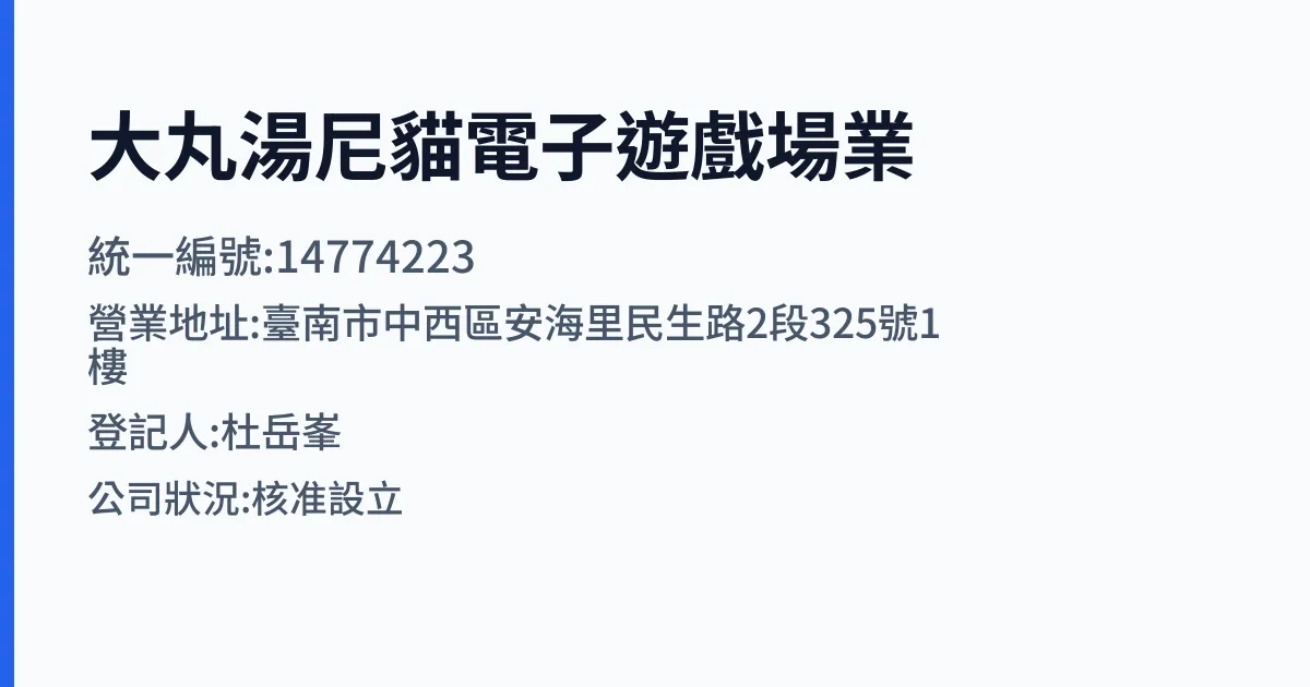 大丸湯尼貓電子遊戲場業 - 統編 14774223（臺南市） 公司登記資料與營業項目詳細圖表