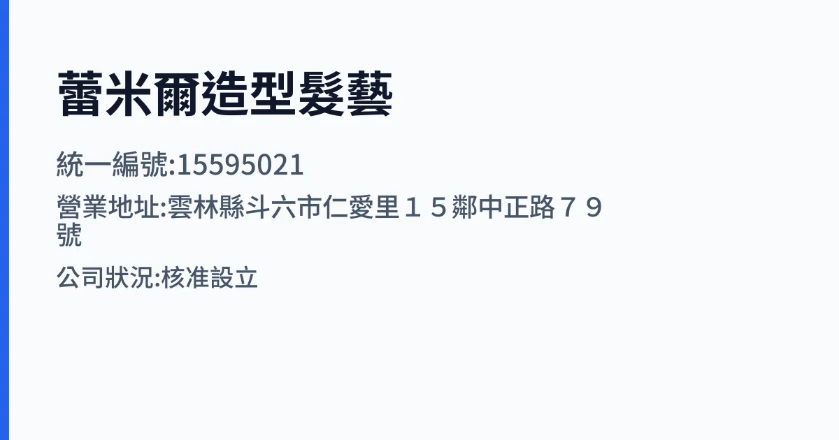 蕾米爾造型髮藝 - 統編 15595021(雲林縣) 公司登記資料與營業項目詳細圖表