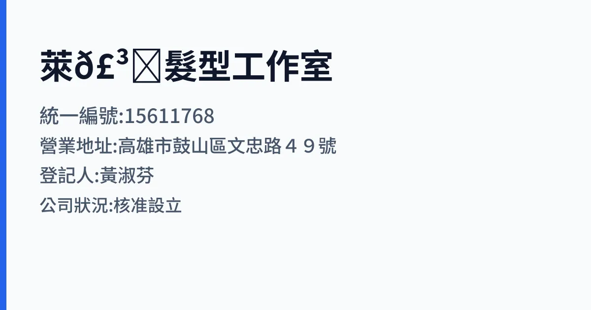 萊𣳓髮型工作室 - 統編 15611768(高雄市) 公司登記資料與營業項目詳細圖表