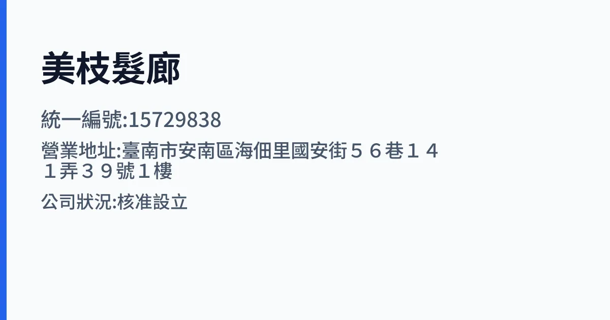 美枝髮廊 - 統編 15729838(臺南市) 公司登記資料與營業項目詳細圖表