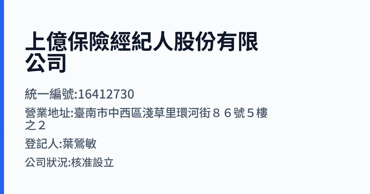 上億保險經紀人股份有限公司 - 統編 16412730(臺南市) 公司登記資料與營業項目詳細圖表