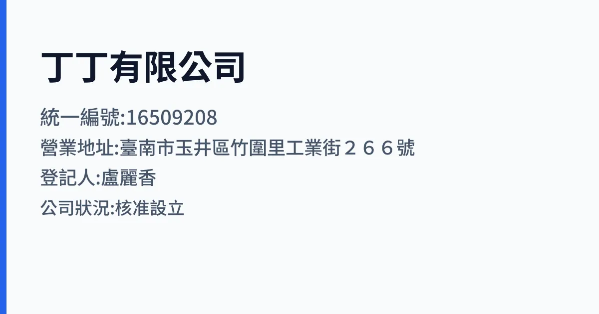 丁丁有限公司 - 統編 16509208(臺南市) 公司登記資料與營業項目詳細圖表