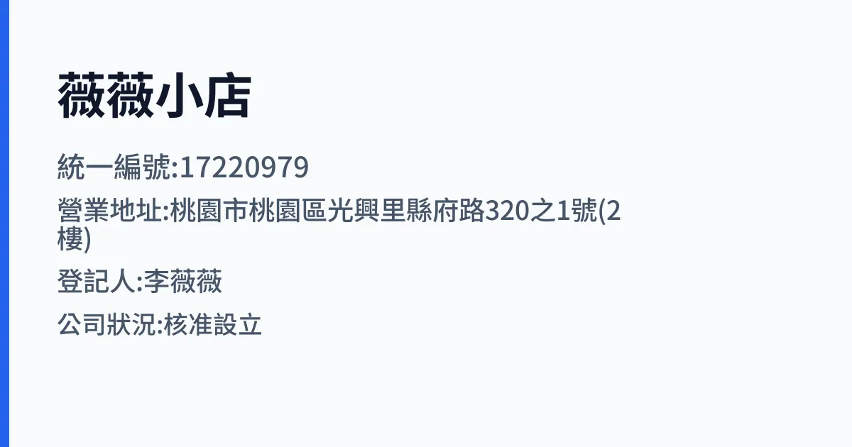薇薇小店 - 統編 17220979(桃園市) 公司登記資料與營業項目詳細圖表