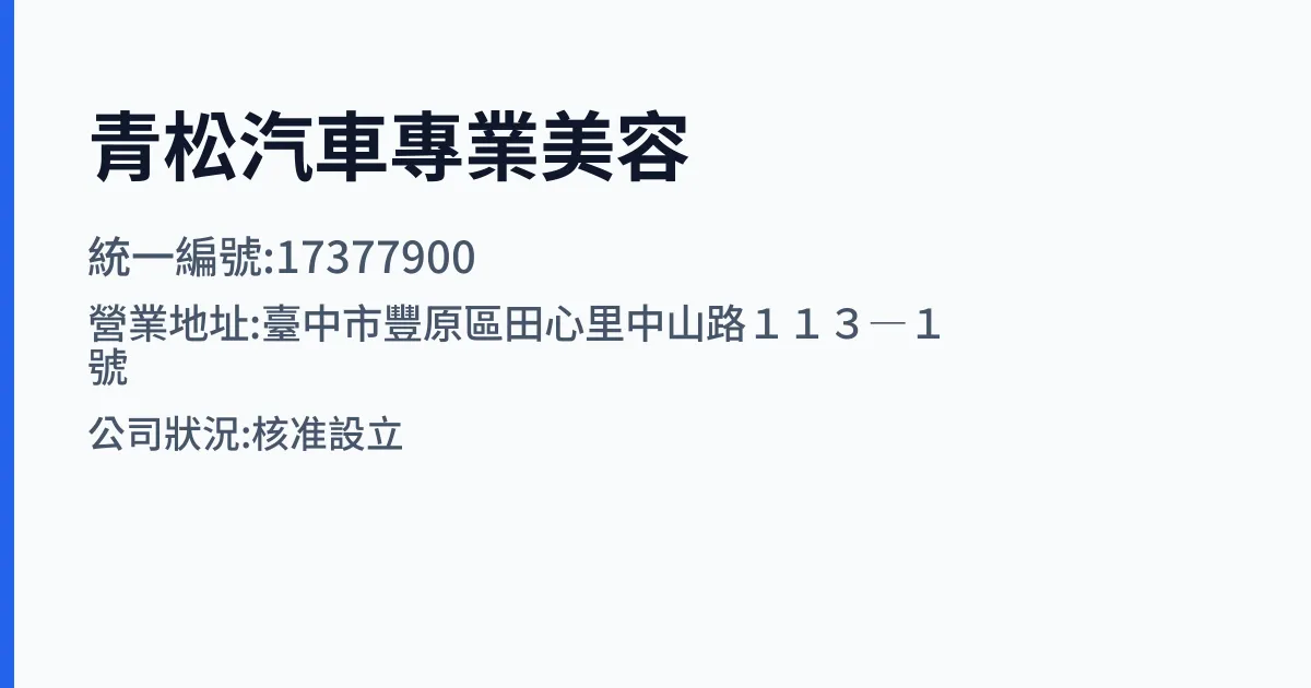 青松汽車專業美容 - 統編 17377900(臺中市) 公司登記資料與營業項目詳細圖表