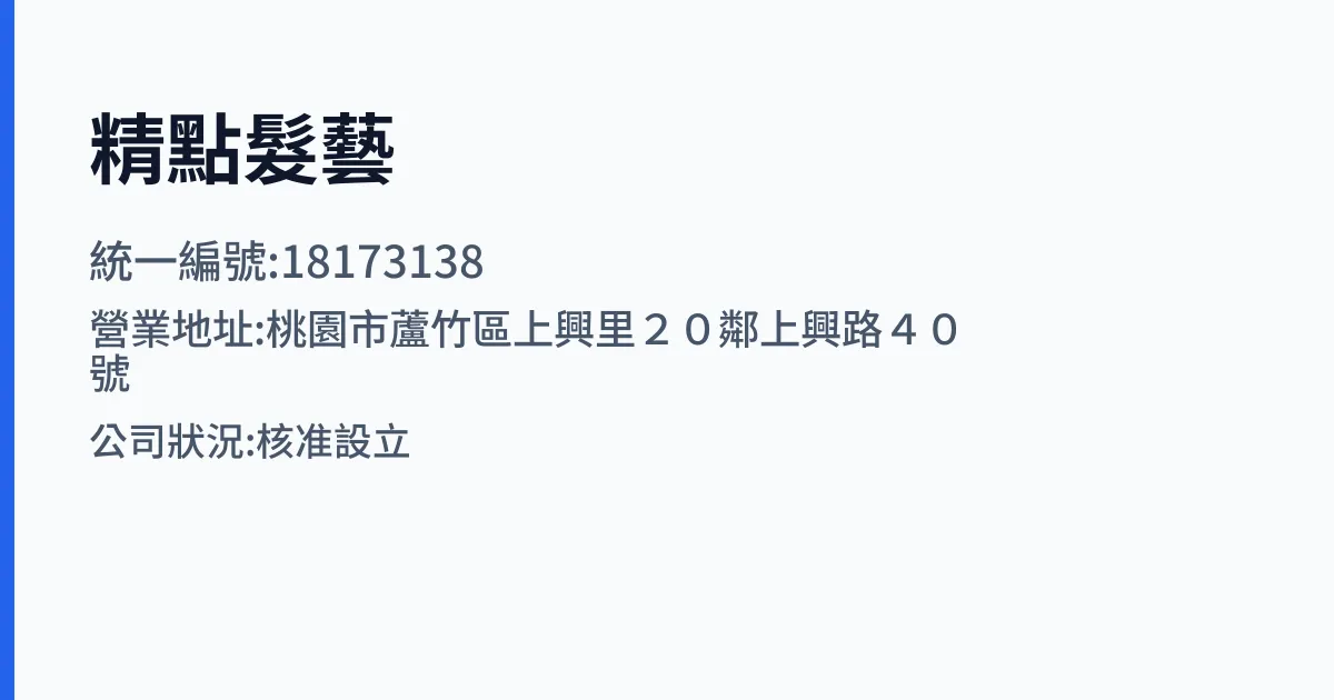 精點髮藝 - 統編 18173138(桃園市) 公司登記資料與營業項目詳細圖表