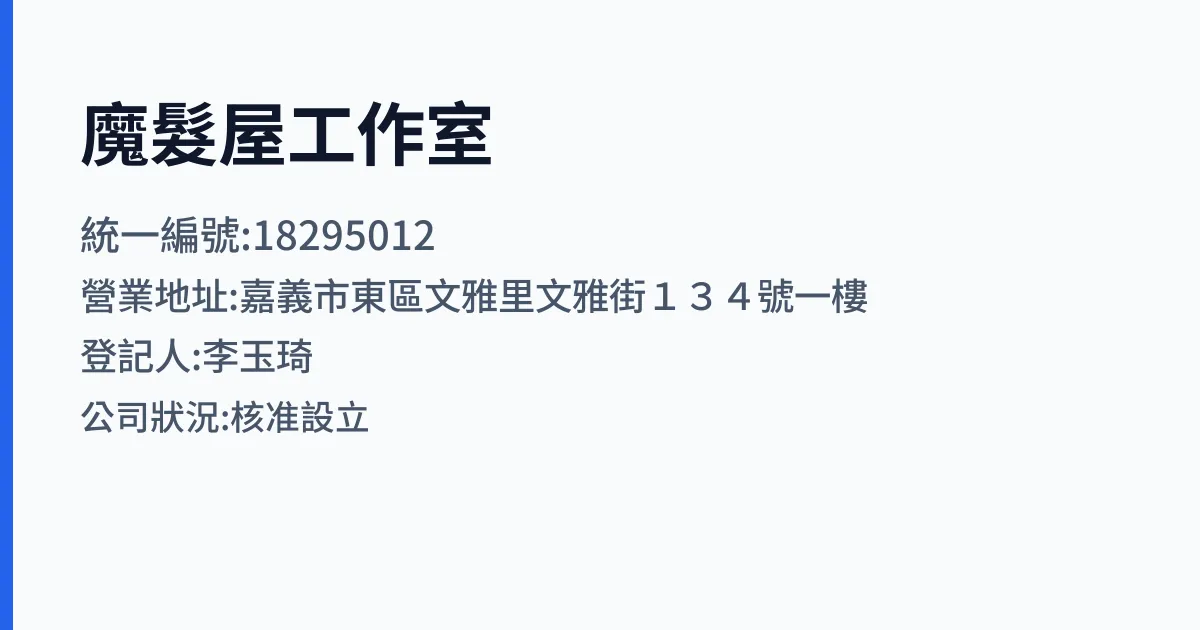 魔髮屋工作室 - 統編 18295012（嘉義市） 公司登記資料與營業項目詳細圖表