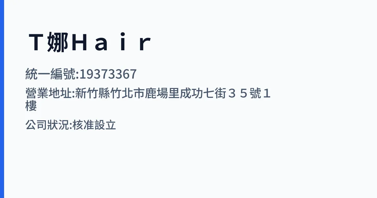 T娜Hair - 統編 19373367(新竹縣) 公司登記資料與營業項目詳細圖表
