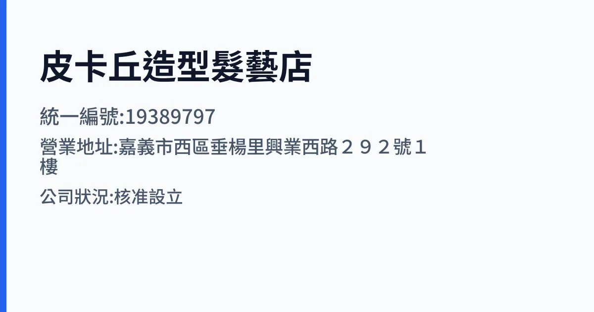皮卡丘造型髮藝店 - 統編 19389797(嘉義市) 公司登記資料與營業項目詳細圖表