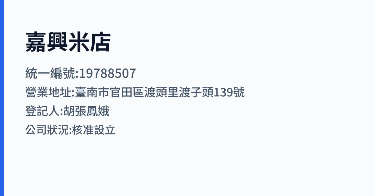 嘉興米店 - 統編 19788507(臺南市) 公司登記資料與營業項目詳細圖表
