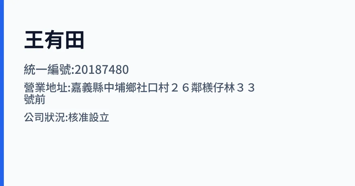 王有田 - 統編 20187480(嘉義縣) 公司登記資料與營業項目詳細圖表