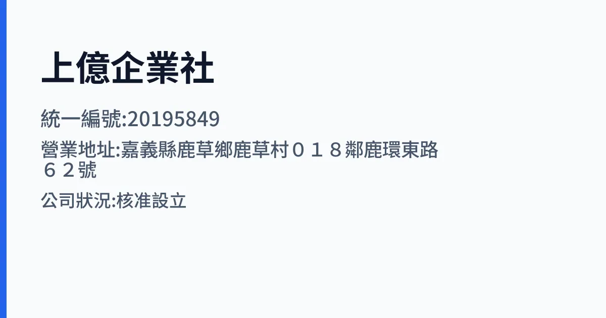 上億企業社 - 統編 20195849（嘉義縣） 公司登記資料與營業項目詳細圖表