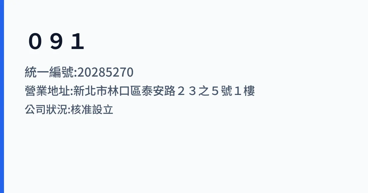 ０９１ - 統編 20285270(新北市) 公司登記資料與營業項目詳細圖表