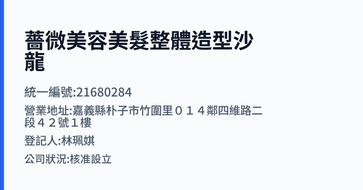 薔微美容美髮整體造型沙龍 - 統編 21680284(嘉義縣) 公司登記資料與營業項目詳細圖表