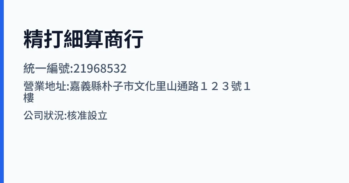 精打細算商行 - 統編 21968532（嘉義縣） 公司登記資料與營業項目詳細圖表