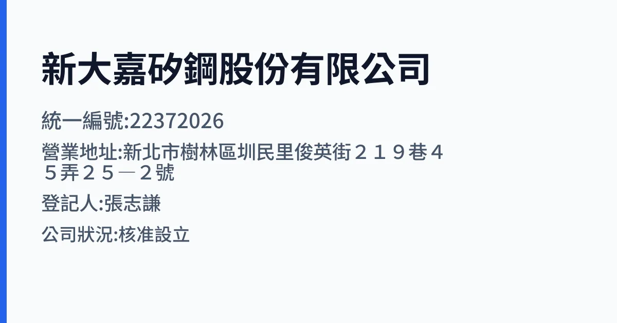 新大嘉矽鋼股份有限公司 - 統編 22372026(新北市) 公司登記資料與營業項目詳細圖表